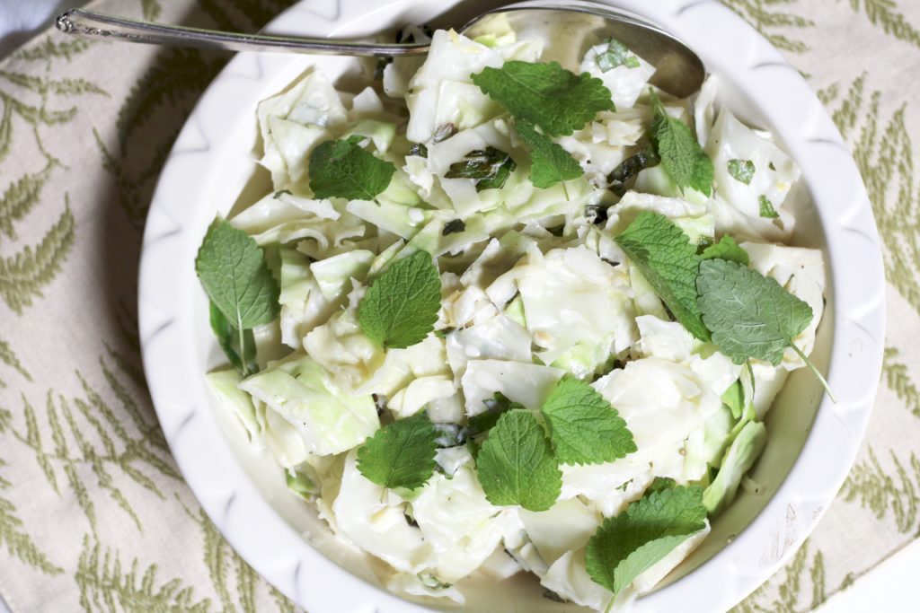 Lemon Balm Cream Cabbage – Diary of a Mad Hausfrau